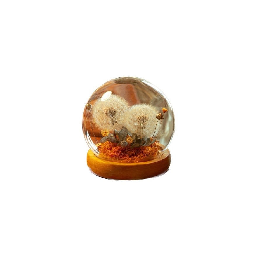 SNOWY FLOWER, Twinkle Duo Preserved Dandelion Glass Dome | Watsons Malaysia